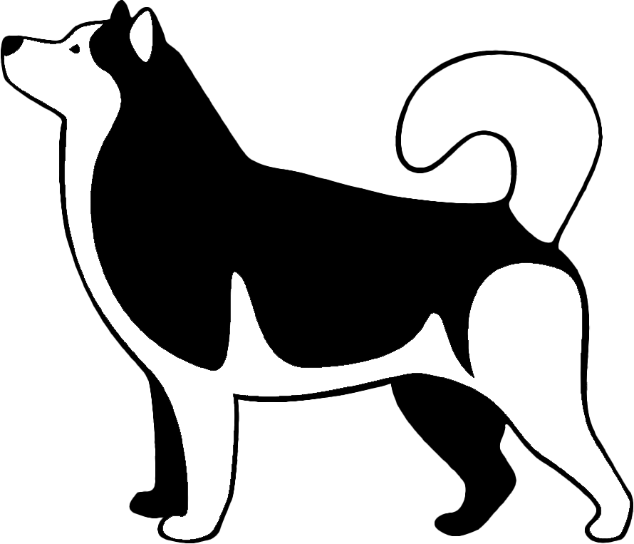 Solar Pawz | Calgary Dog Walking | Local Dog Walker